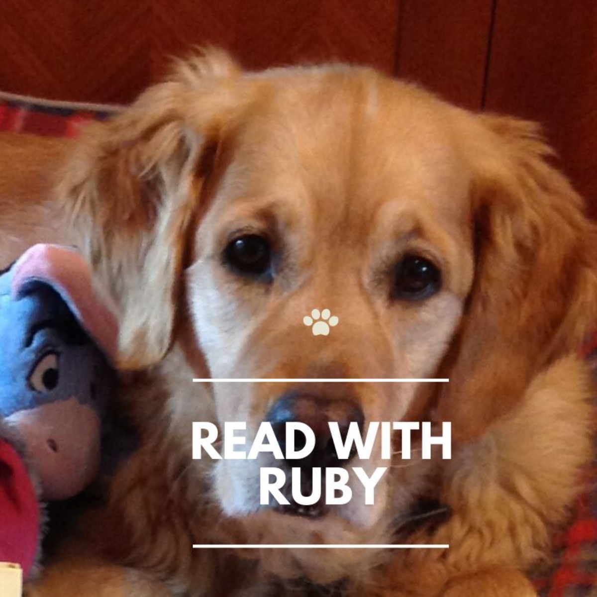 Luck Lane, A SHARE Primary Academy - Reading with Therapy Dog Ruby!